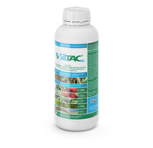 SILTAC® EC - ICB Pharma PL